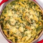 Easy Chicken and Kale Casserole Recipe - Contentedness Cooking