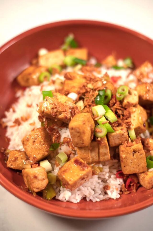 Easy Chinese Tofu - Contentedness Cooking